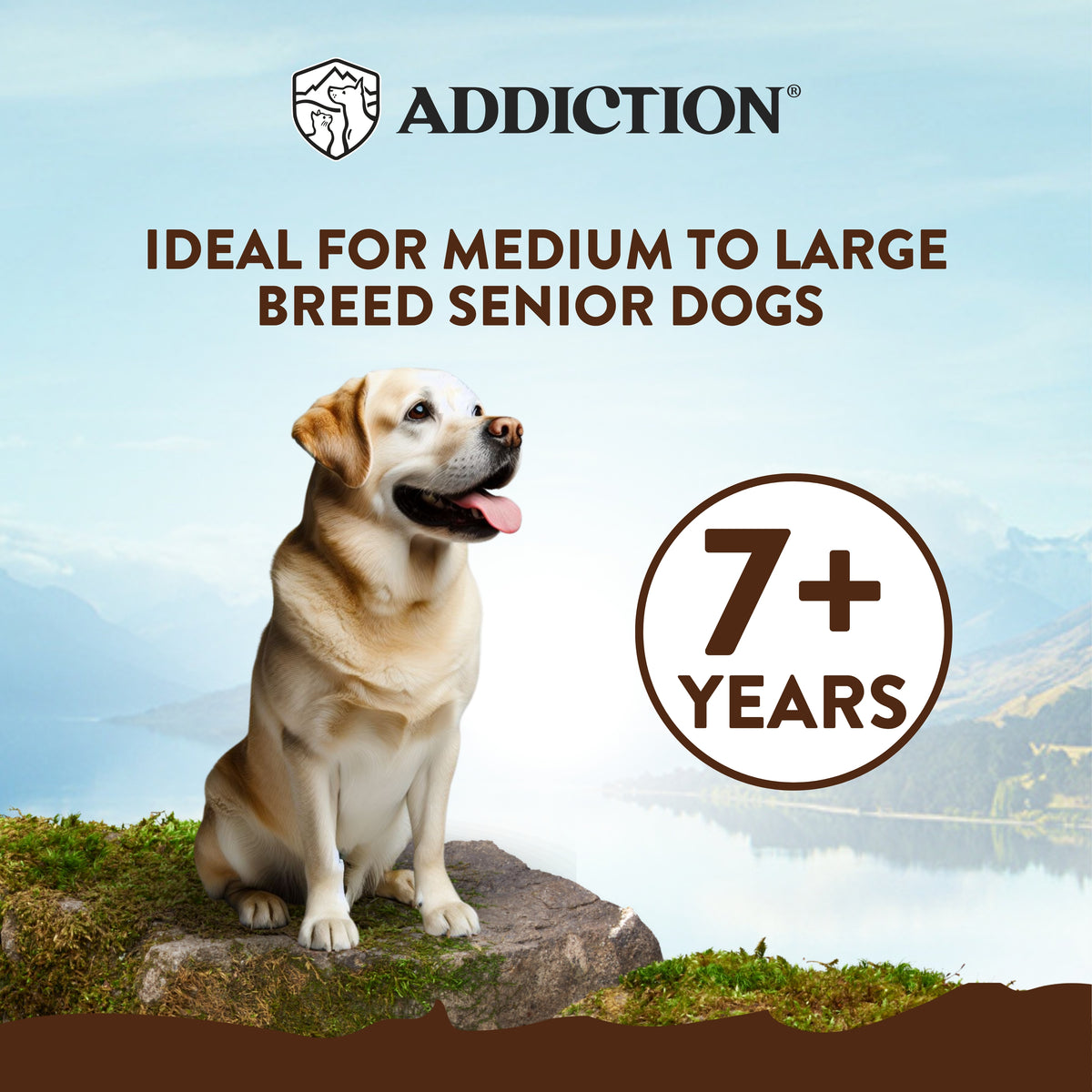 Addiction Mega Chicken for Large Breed Senior