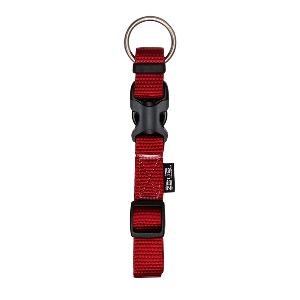 Zeus Adj Collar Red