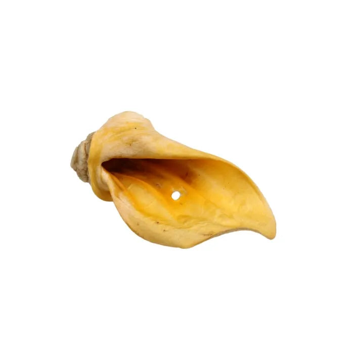 Beef Ear